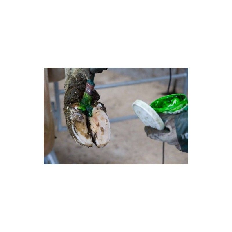 Intracare Hoof-fit gel 330 ml. - IntraCare | Klauwverzorging | Melkvee.shop