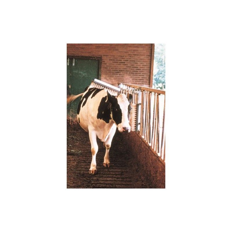 Vink Veeborstel - Vink elst | Veeborstel | Melkvee.shop