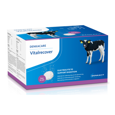 Denkacare Vitalrecover 36 x 1 bruistablet - Denkavit | Diergezondheid ...